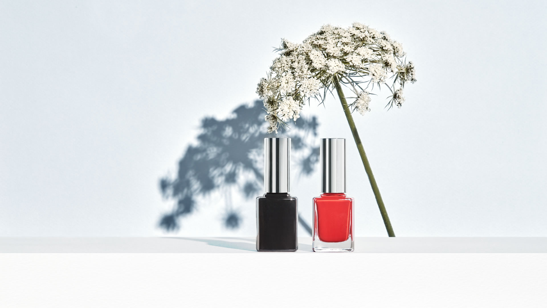 News – Fiabila | The Nail Polish